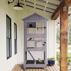 Best 6 Indoor Finch Aviary You Can Use In Any Room Reviews