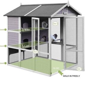 Best 6 Outdoor Bird Aviary Kits: All That You Need In One