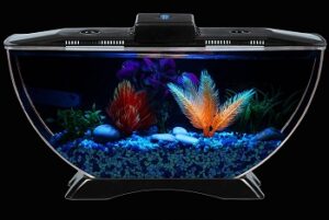 Best 6 Aesthetic Fish Tanks That Will Fit Your Room Decor