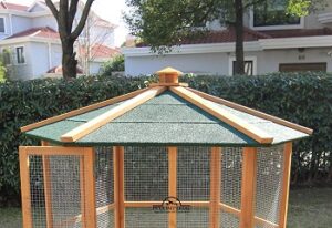 Best 6 Outdoor Bird Aviary Kits: All That You Need In One