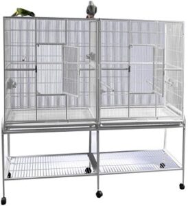 Top 6 Sun Conure Cages You Should Purchase For Your Bird Pet