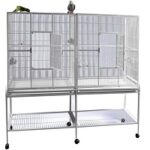 Top 6 Sun Conure Cages You Should Purchase For Your Bird Pet