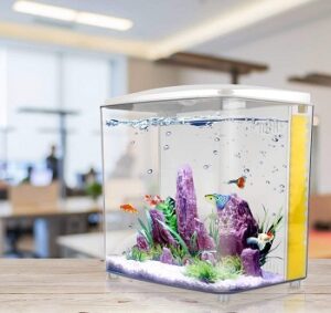 Best 6 Baby Fish Tank Ideal For Every Breed In 2021 Reviews