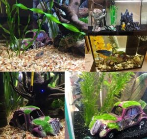 Best 6 Car Aquarium (Fish Tank) Decorations In Many Colors