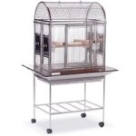 Best 6 Quaker Parrot Cages Every Bird Owner Should Use 2022