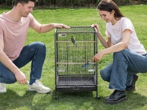 Best 6 Quaker Parrot Cages Every Bird Owner Should Use 2022