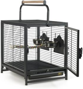 Best 6 Quaker Parrot Cages Every Bird Owner Should Use 2022