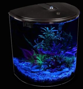 Best 6 Half Circle Fish Tanks On Stands, Wall, Corner & More