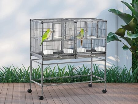 Top 6 Sun Conure Cages You Should Purchase For Your Bird Pet