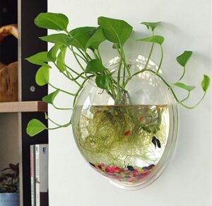 Top 6 Half Moon Aquarium (Fish Tank) Of Many Sizes Reviews