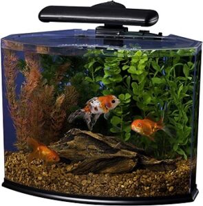 6 Best-rated Narrow Fish Tanks With Tall And Long Designs