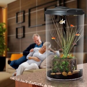 6 Best-rated Narrow Fish Tanks With Tall And Long Designs