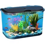 6 Best-rated Narrow Fish Tanks With Tall And Long Designs