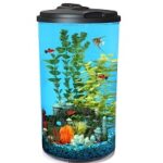 6 Best-rated Narrow Fish Tanks With Tall And Long Designs