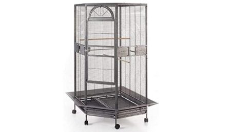 Best 5 Cat Proof Bird Cages In 2022 - Petovly